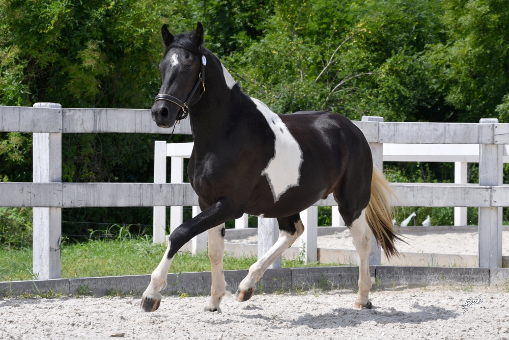 VÝSLEDKY SVODU 2021